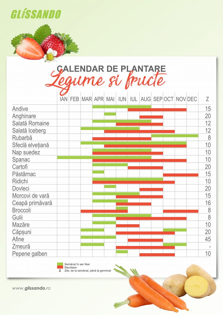 Legume și fructe – CALENDAR DE PLANTARE – GLISSANDO