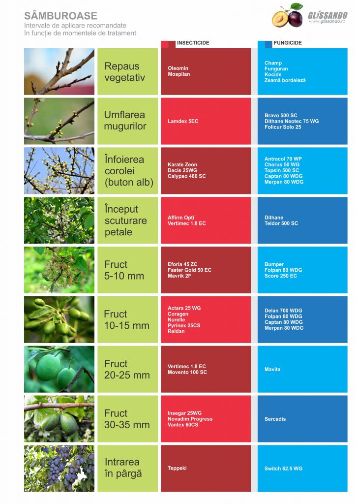 Calendar stropire pomi fructiferi semintoase/samburoase